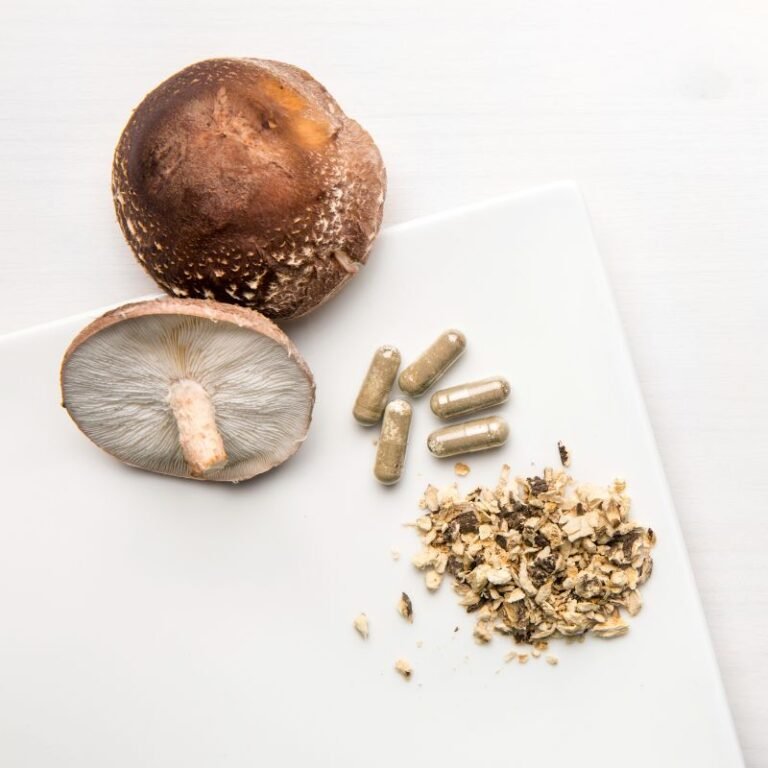 Shiitake ir kitų panašių grybų auginimas ant rąstų. Nuo ko pradėti ir ...